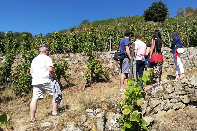 Rhône Valley Wine & Chocolate Tasting Private Day Tour from Lyon - FAQs