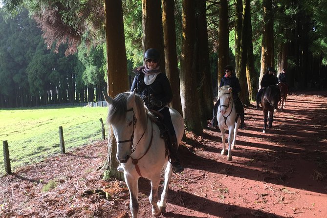 ride a volcano - go to the gardens in the woods - What Travelers Are Saying