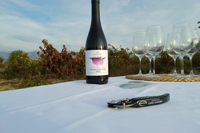 Rioja Wine Tour: 2 Wineries From Pamplona - Final Thoughts