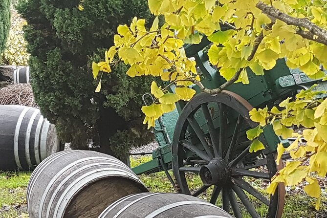 Rome Countryside Delights: Exclusive Wine Tasting Tour - Final Thoughts