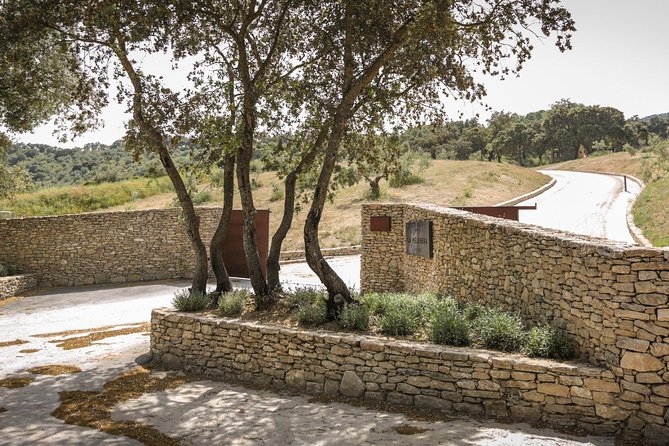 Ronda Private Full Day Wine Tour - In summary, this tour offers a rich, intimate taste of Andalusian culture, combining the pleasures of fine wine with the stunning spectacle of Ronda. It’s best suited for travelers who value quality, authenticity, and personalized attention.