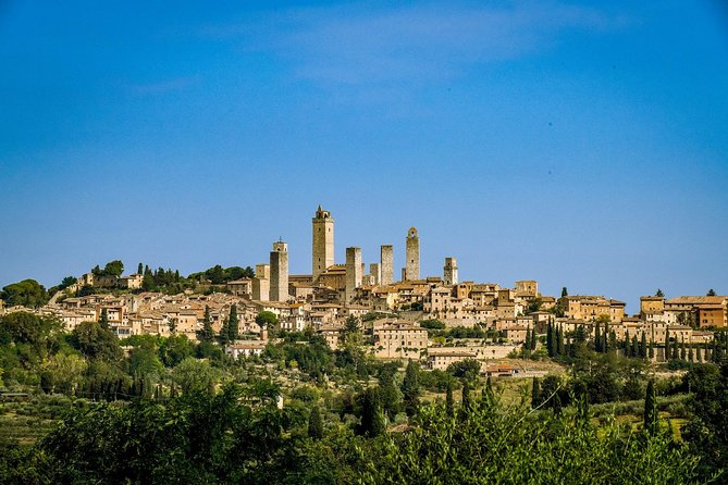 San Gimignano: Chianti wine tasting - Accessibility and Suitability