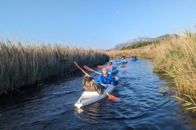 Sardinia: SUP tour at sunset - Authentic Traveler Insights