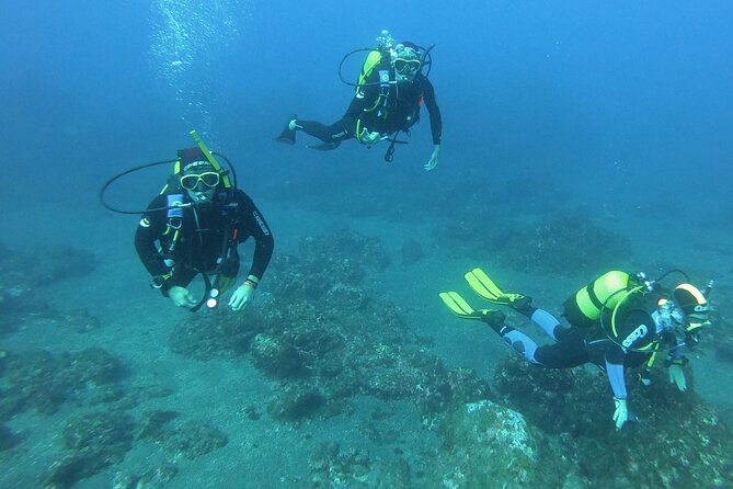 Scuba Diving - The Sum Up