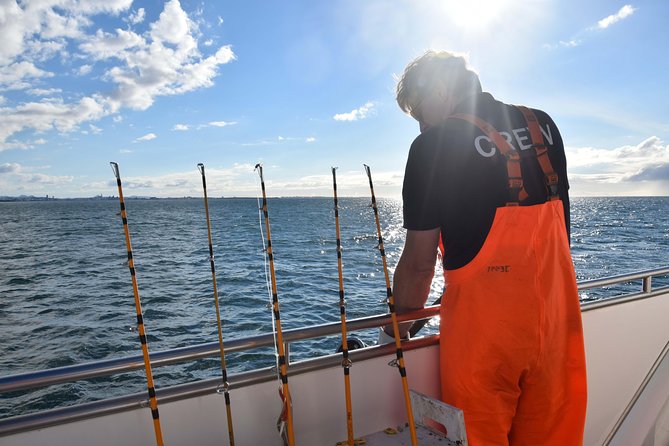 Sea Fishing Experience from Reykjavik - Weather and Cancellation Policy