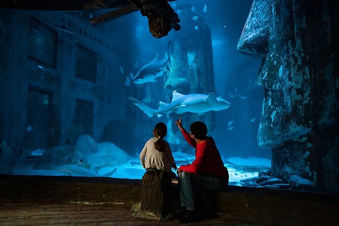 SEA LIFE London Aquarium Admission Ticket - What Visitors Are Saying