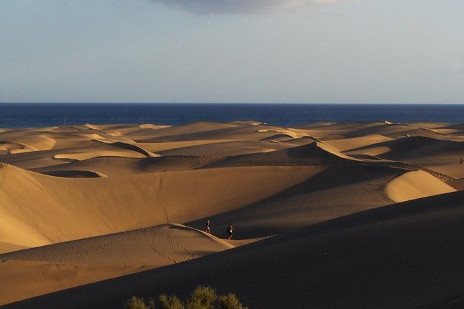 Segway Experience 1 hour Sightseeing Tour : Visit Maspalomas Dunes, Playa Ingles - The Sum Up
