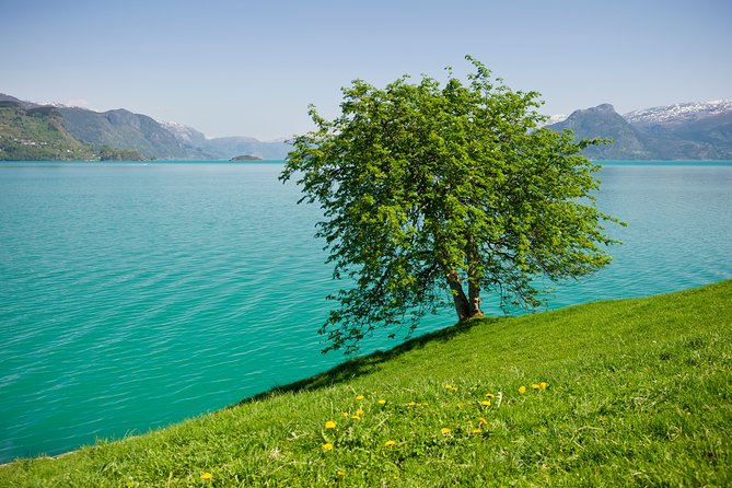 Self-Guided 22-Hour Round Trip From Oslo To Sognefjord With Flåm Railway - FAQ