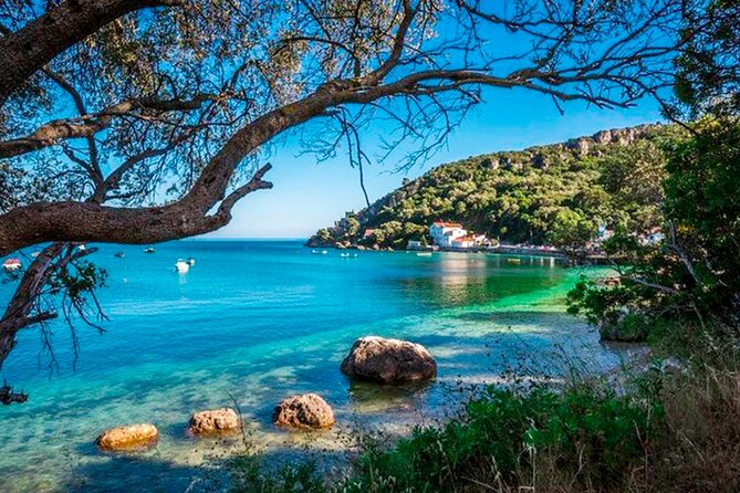 Setúbal Private Tour - Including Dolphin Watching - FAQ