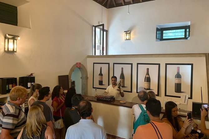Setúbal Wine Tour with Visit and Tasting at 2 Wineries - Insights from the Reviews