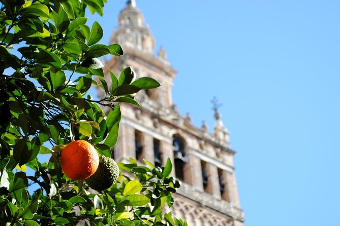 Seville Panoramic Walking Tour - FAQ