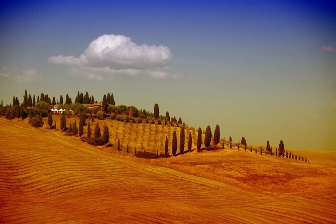 Shore excursion from Florence to San Gimignano and Siena - Frequently Asked Questions