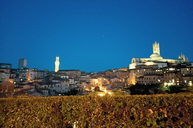 Siena Underground Wine tasting in a Medieval Cave - What to Expect in Terms Value