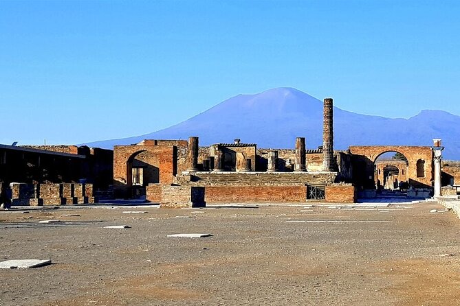 Skip-The-Line Tickets VIP Small Group Tour To Pompei and Vesuvius - Who Should Take This Tour?