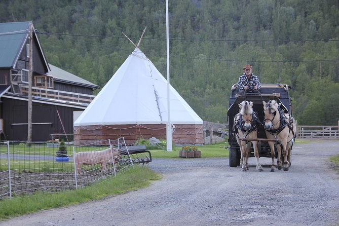 Sleigh Ride w/ Tapas Meal - Experience Arctic Farm Life - FAQ