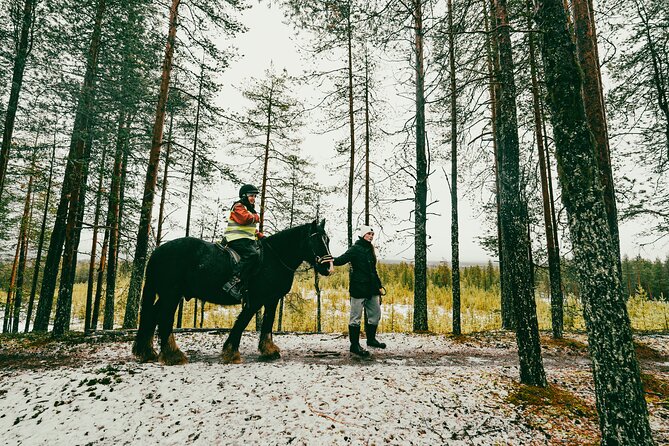 Small-Group Arctic Circle Horse Riding from Rovaniemi - Pricing and Value