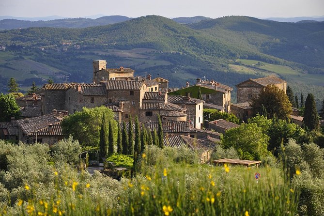 SMALL GROUP Chianti 2 wineries & lunch (max 8 people) - The Sum Up: Is This Tour Right for You?