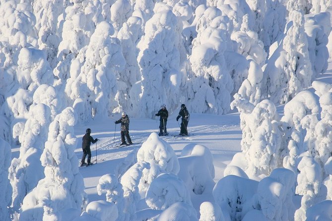 Small-Group Lapland Cross Country Ski - The Sum Up: Who Should Book This Tour?