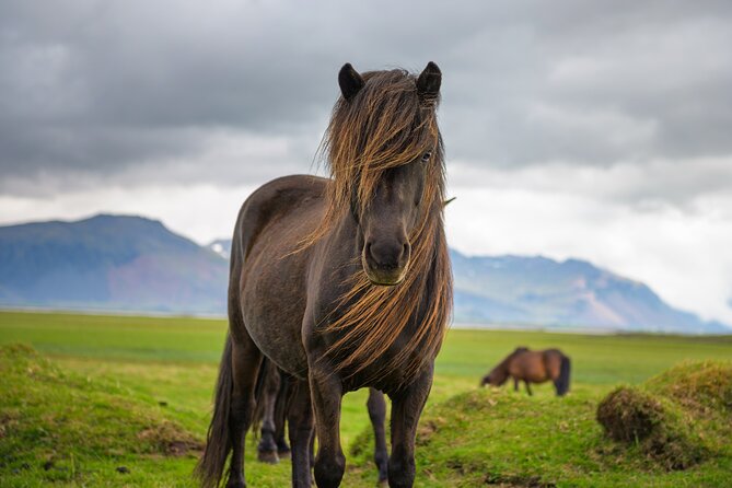 Snaefellsnes Peninsula Self-Guided Driving Audio Tour - Who Will Love This Tour?