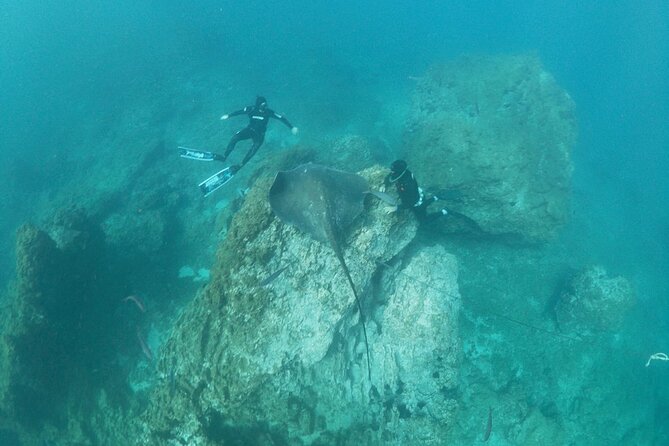 Snorkeling excursion in the Rayas and Turtles Zone - What to Keep in Mind