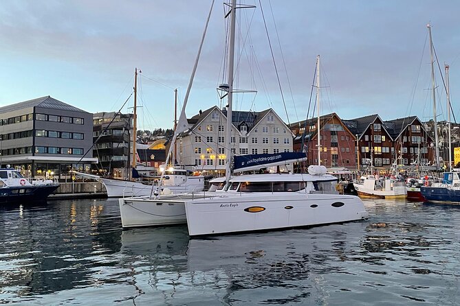 Snorkeling with Orcas In Norway, 4 days All-Inclusive expedition - Practical Details: What You Need to Know