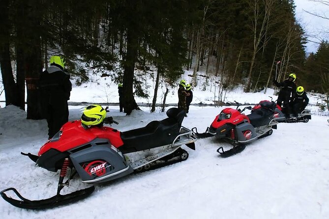Snowmobiles Rides in the Carpathian and Winter Sports in Azuga - The Sum Up: Who Should Consider This Tour?