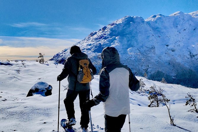 Snowshoe hiking Bergen Public - Norway Mountain Guides - Who Will Love This Tour?