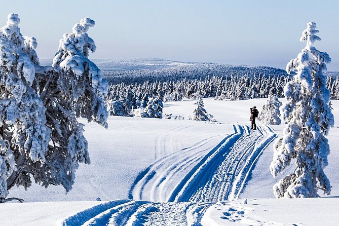 Snowshoe Trip for Searching Arctic Animals - Who Will Love This Tour?