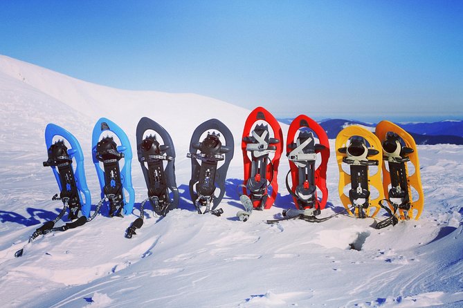 Snowshoeing Fun Tour from Cluj Napoca - The Sum Up: Who Should Consider This Tour?