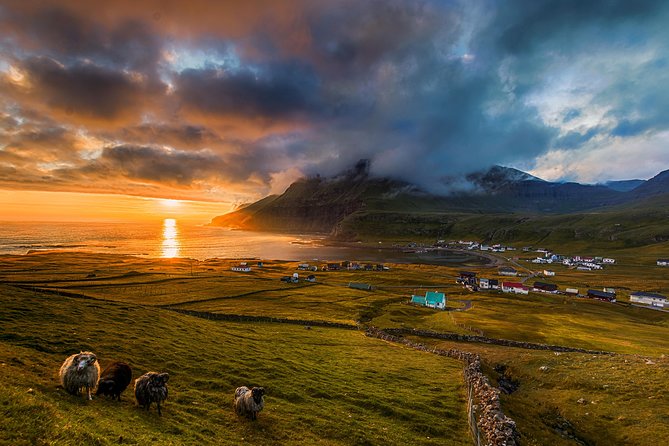 Súðuroy Island Day Tour, Faroe Islands - The Sum Up: Is the Súðuroy Island Day Tour Worth It?