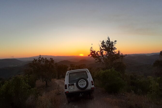 Sunset Safari 4H - Is This Tour for You?