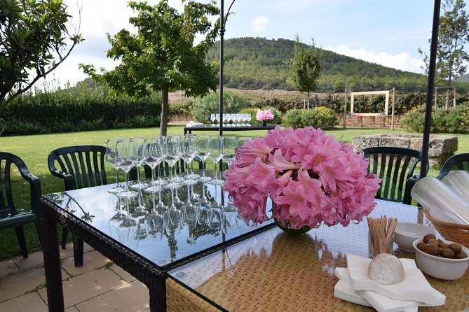 Sunset Tour with visit and guided tasting of 5 wines and local products - Final Thoughts