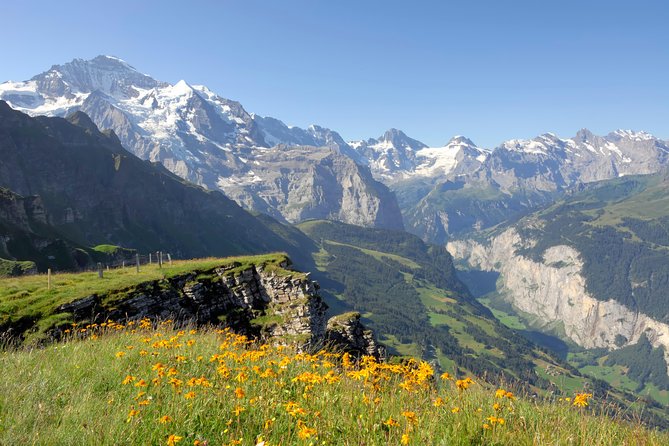 Swiss Alps: Interlaken and Grindelwald Day Trip from Zurich - Final Thoughts