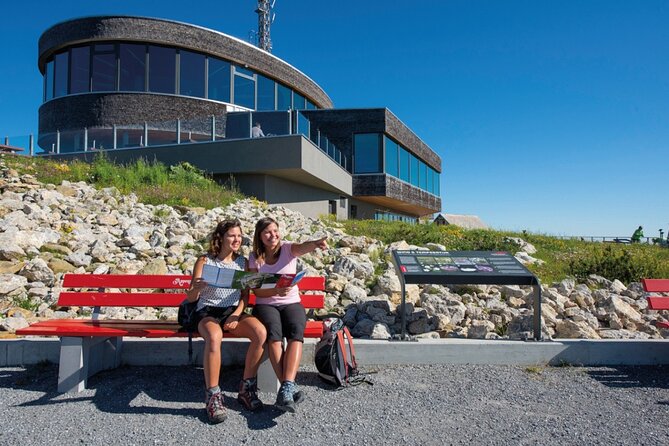 Swiss Cheese, Chocolates and Mountains Small-Group Tour from Zurich - Who Is This Tour Best for?
