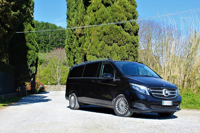 Tasting in a Tuscan Vineyard with transfer from Lucca - The Sum Up