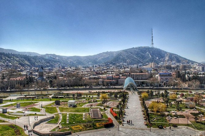 Tbilisi Private Arrival Airport Transfer - Who Will Benefit Most from This Service?