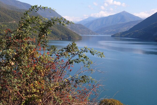 Tbilisi to Kazbegi, Gudauri, and Ananuri Day Tour - In The Sum Up