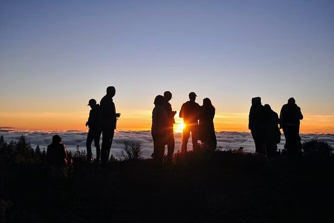 TEIDE NIGHT, Stargazing Bus Tour, Meal & Drinks included! - FAQ