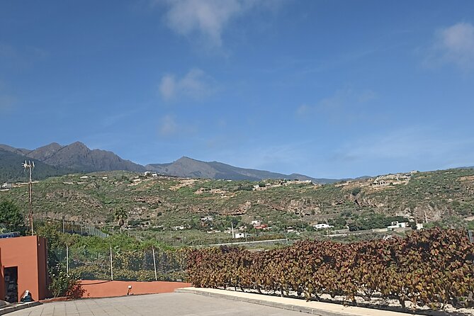Tenerife Culture, History and Wine Private Tour - FAQs