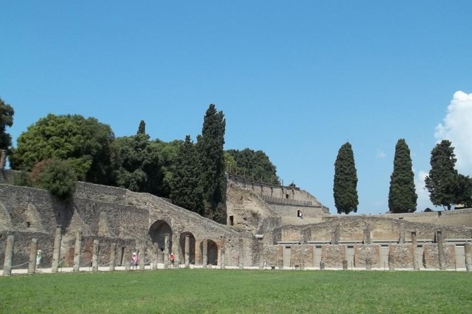 The beauty of Pompeii with a Private Expert Tour Guide / Archaeologist. - In The Sum Up