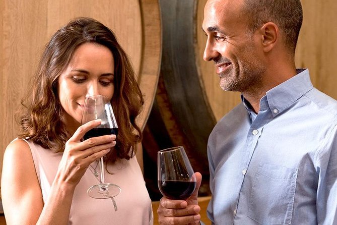 The Original Syrah Wine Tour (2:00 pm - 6:30 pm) - Small Group Tour from Lyon - Key Points