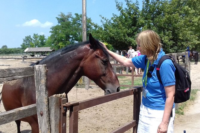 The "Puszta" Horse Show - FAQ: Your Questions Answered