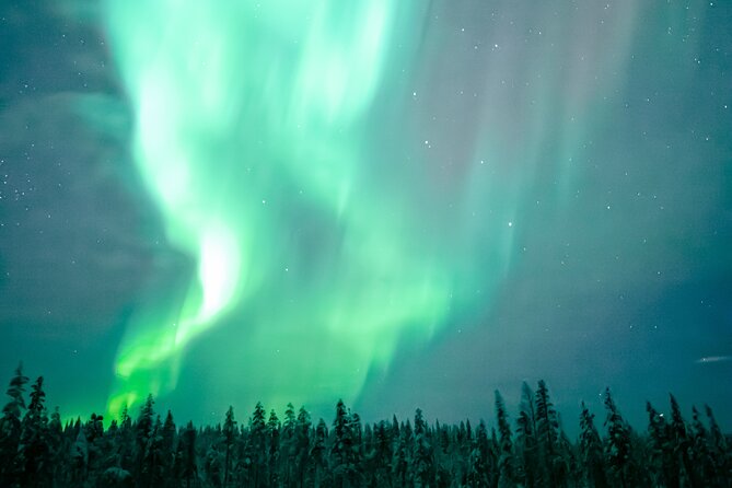 The Ultimate Guaranteed Aurora Hunt - The Sum Up