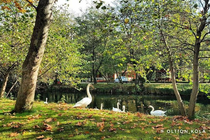 Tirana Hidden Treasures Sightseeing Tour - FAQ: Practical Questions About the Tour