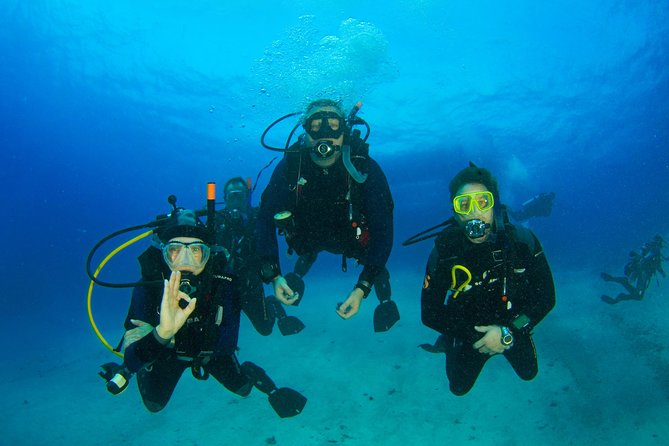 Tossa de Mar Scuba Diving PADI - Who Should Consider This Tour?