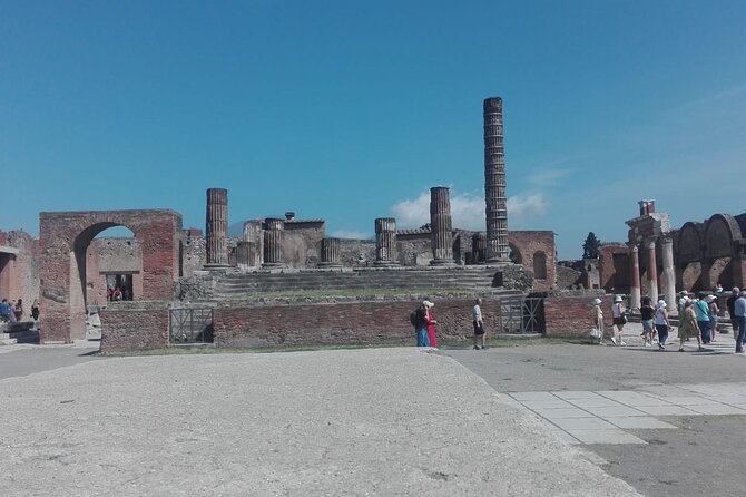 Tour of Naples, Herculaneum and Pompeii - Professional Service and Flexibility