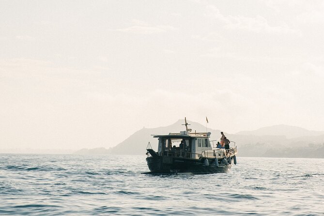 Traditional Boat Sailing Tour from Port of Palma - Who Is This Tour Best For?