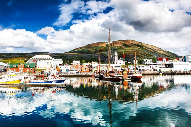 Traditional Oak Ship Whale Watching Tour From Husavik - Who Is This Tour Best For?
