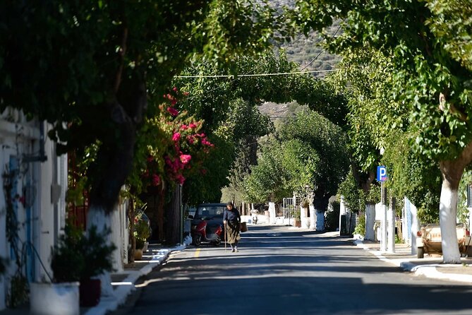 Traditional Villages of Kritsa and Kroustas - Who Should Consider This Tour?