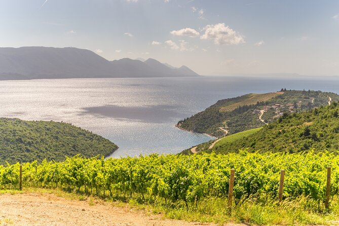 Transfer Split to Dubrovnik with Sightseeing in Ston Town - Authentic Experience and Traveler Tips